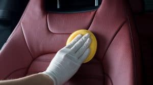 Top 6 Best Leather Cleaners for Cars - The Art of Cleanliness