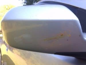 [Review] McKee's 37 Road Kill Bug Remover - The Art of Cleanliness